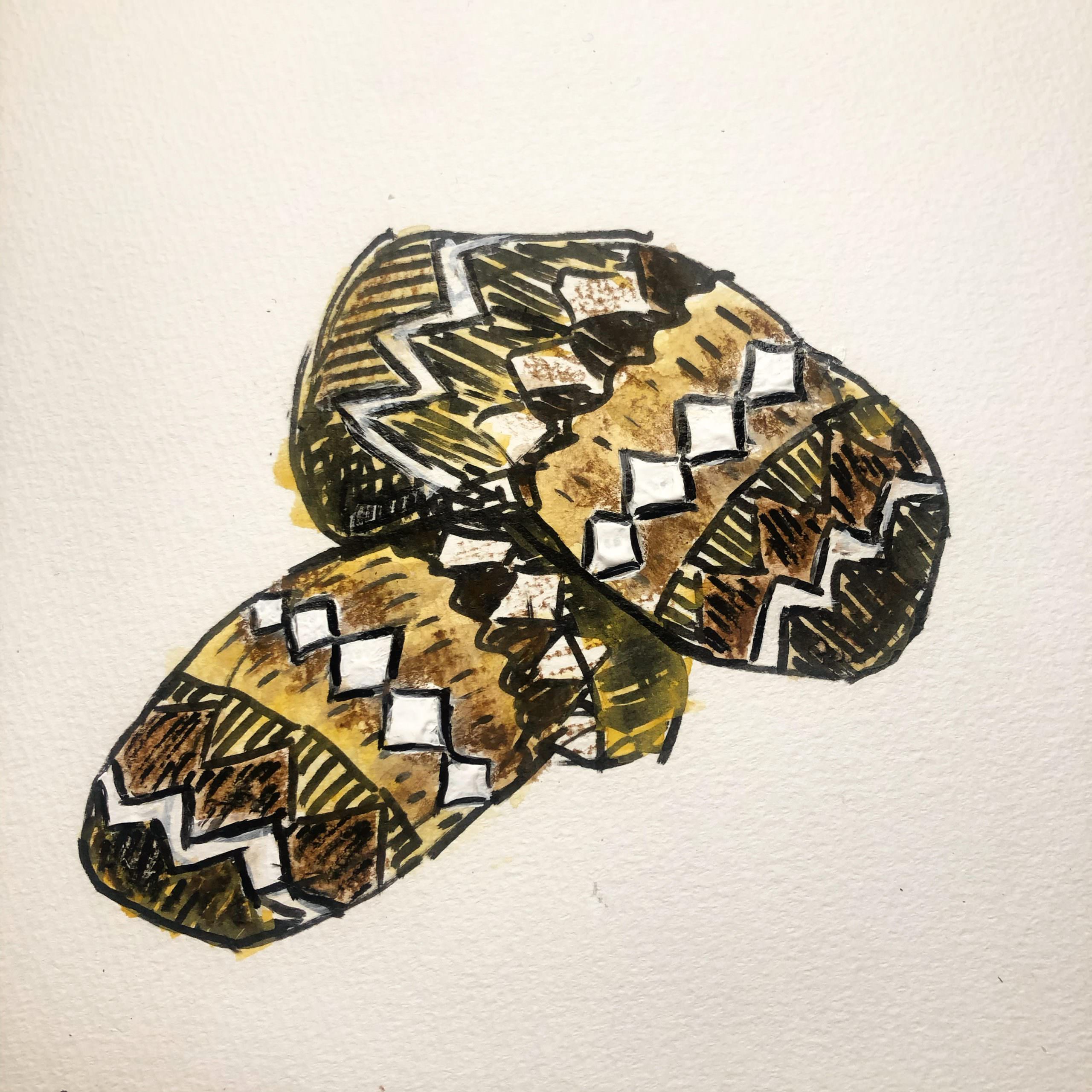 Vermont Folklife Archive Unveils Bernie Sanders Mitten Memes Collection ...